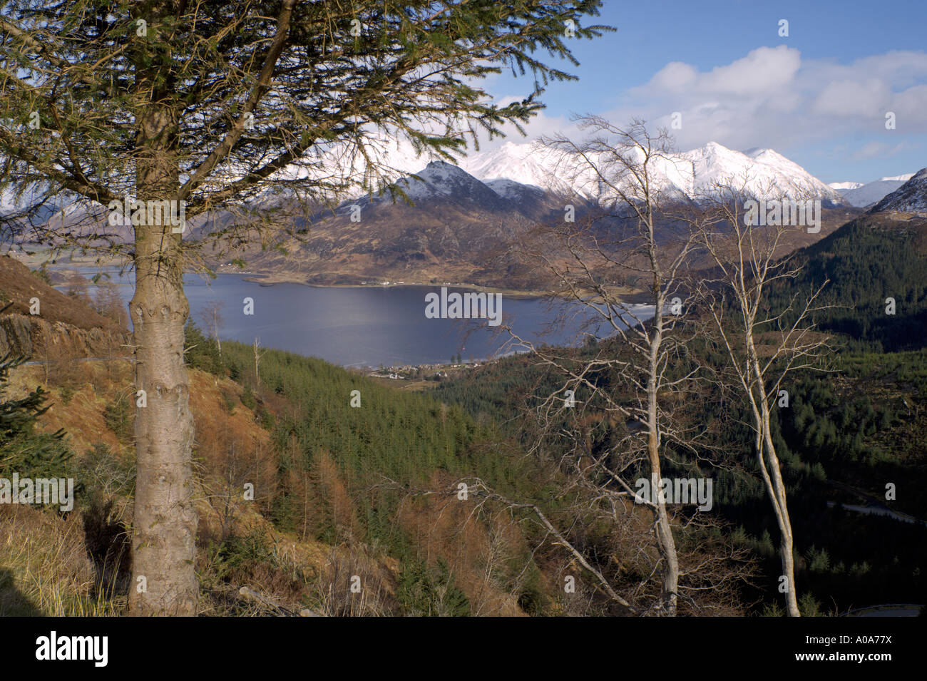 Looking north from Mam Ratagan Pass down on Loch Duich and Five Sisters ...