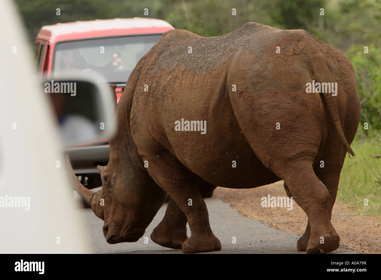 African traffic jam Stock Photo - Alamy