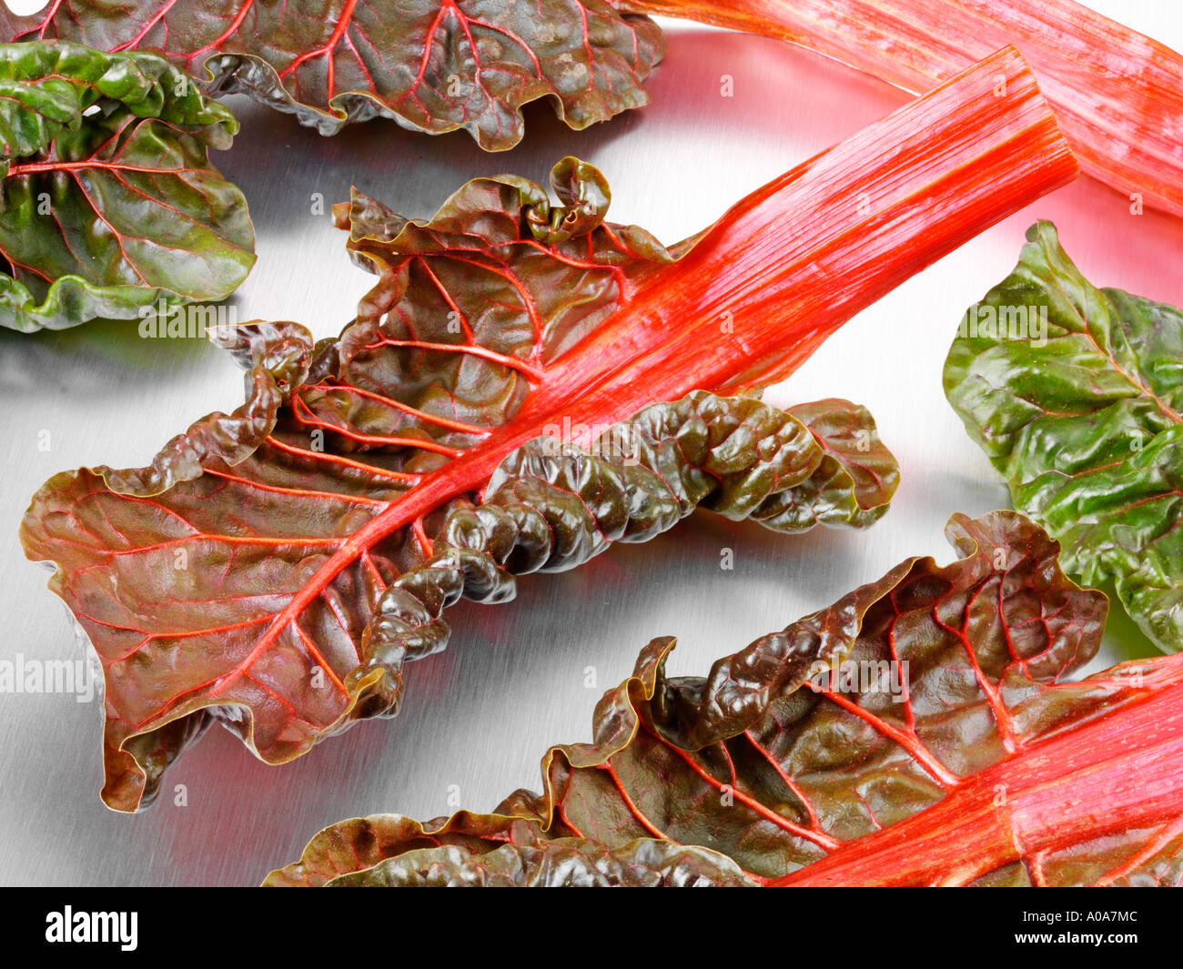 RAINBOW CHARD LEAVES Stock Photo - Alamy