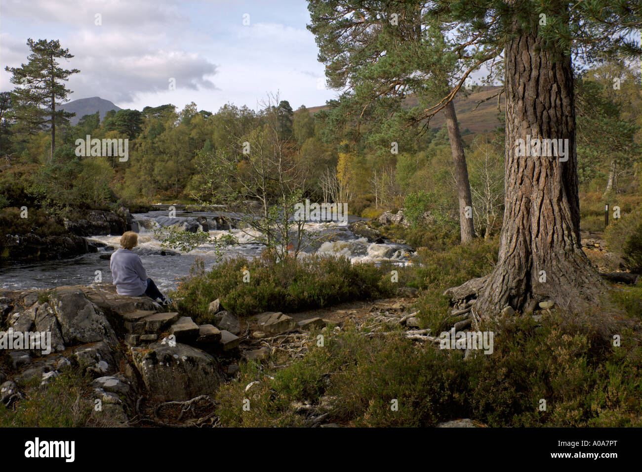 Waterfall Glen Affric near Affric Lodge River Affric looking west ...