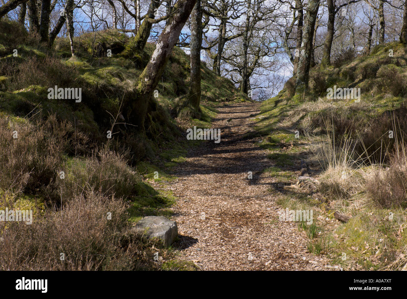Salen Loch Sunart forest tracks Ardnamurchan A861 Sunart and ...