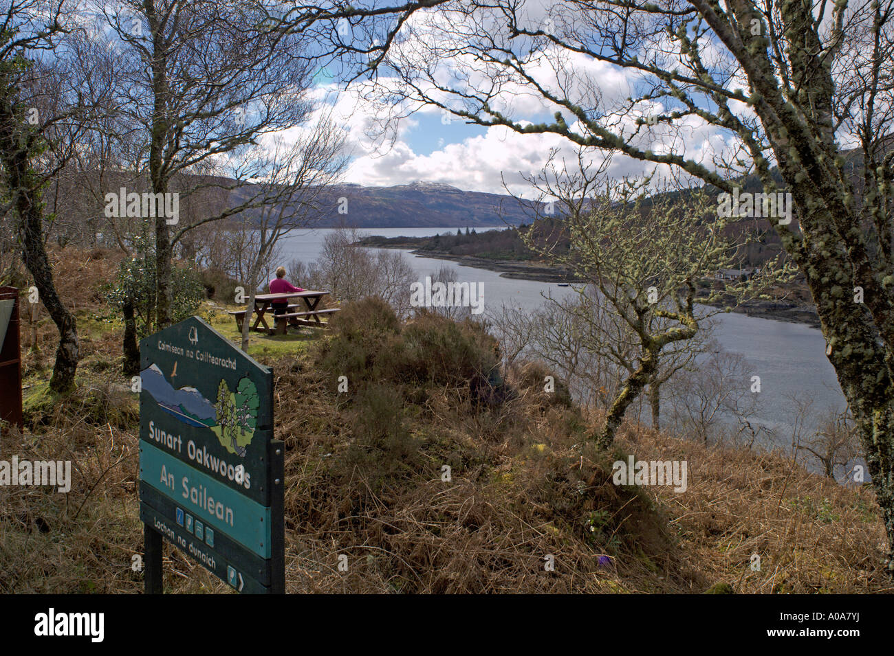 Sunart oakwoods, ardnamurchan hi-res stock photography and images - Alamy