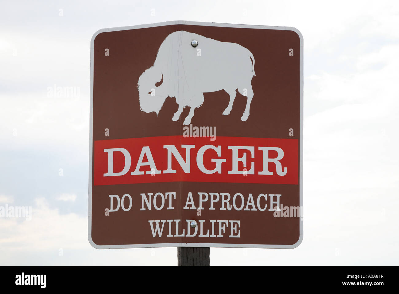 USA Strassenschild Danger Do Not Approach Wildlife Bison Bisons Stock ...