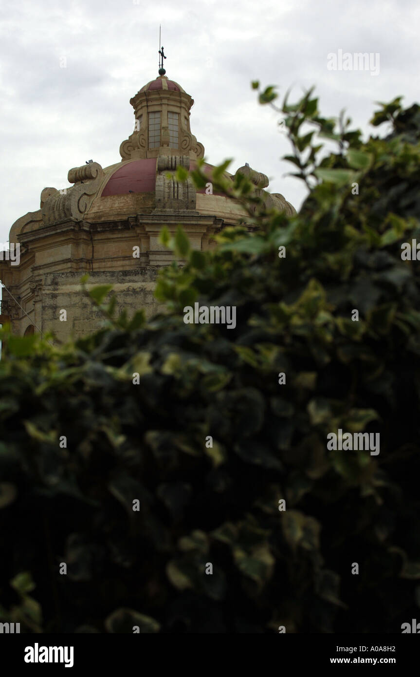 trees dome cathedral Stock Photo - Alamy