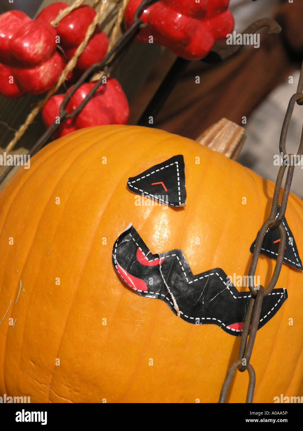 Pumpkin display for halloween Stock Photo - Alamy
