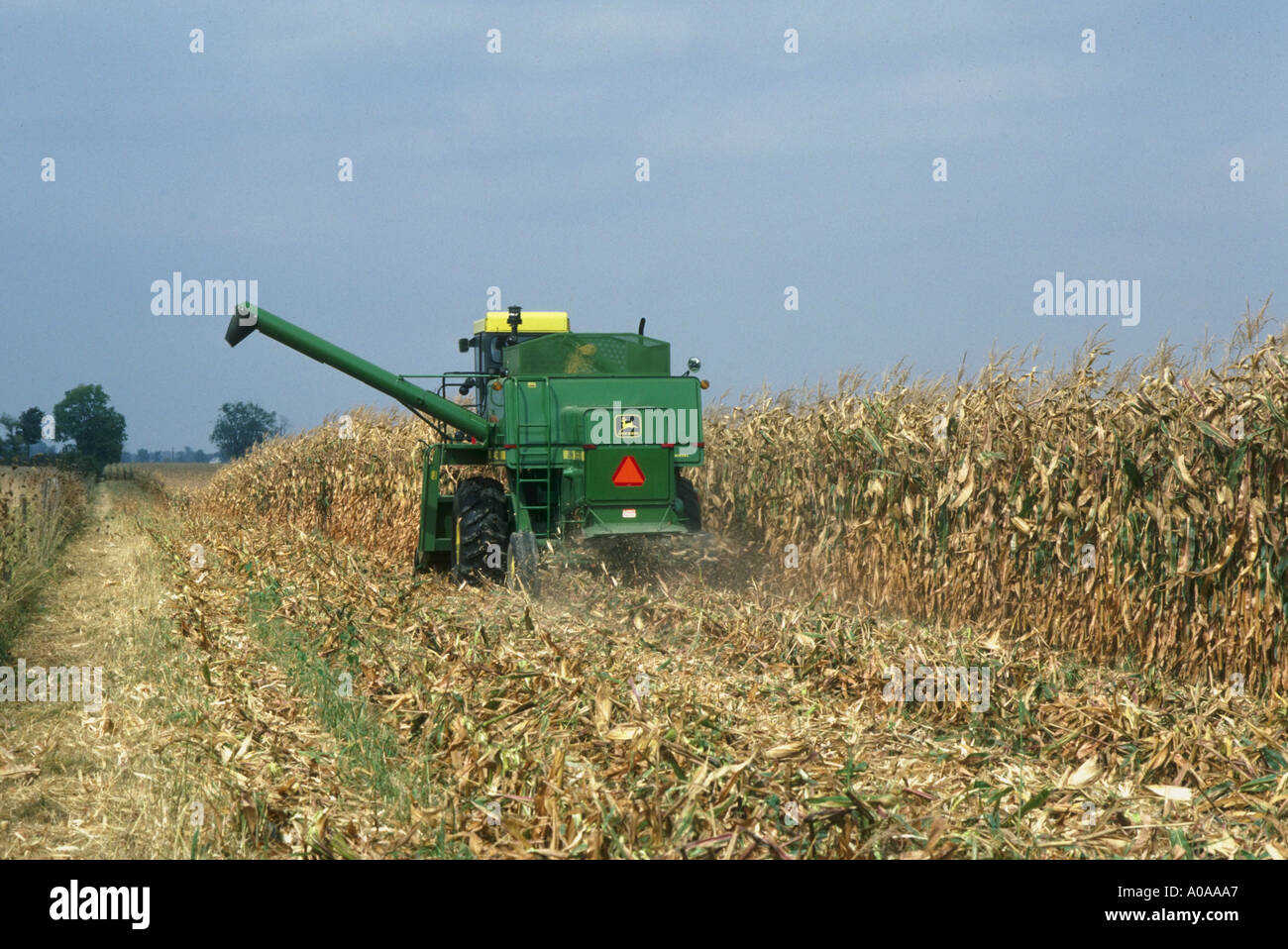 Harvesting corn Clinton County Ohio Stock Photo - Alamy