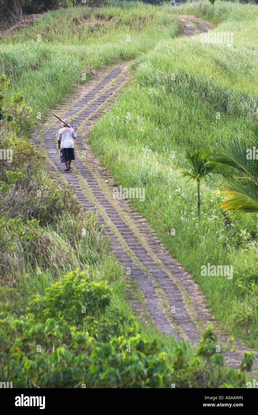 Farmer Walking Along Path Stock Photo - Alamy