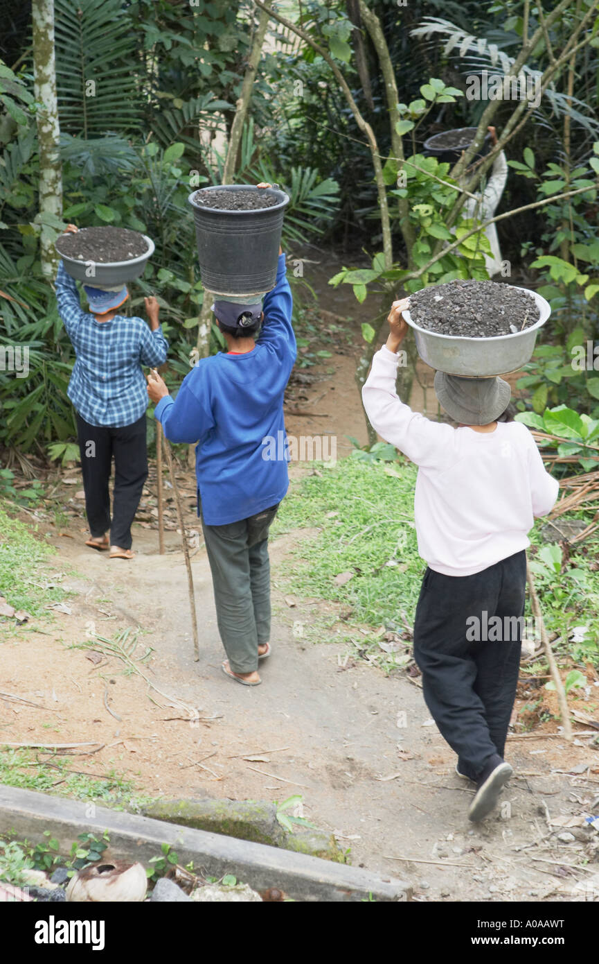 Indonesian construction workers building construction hi-res stock ...
