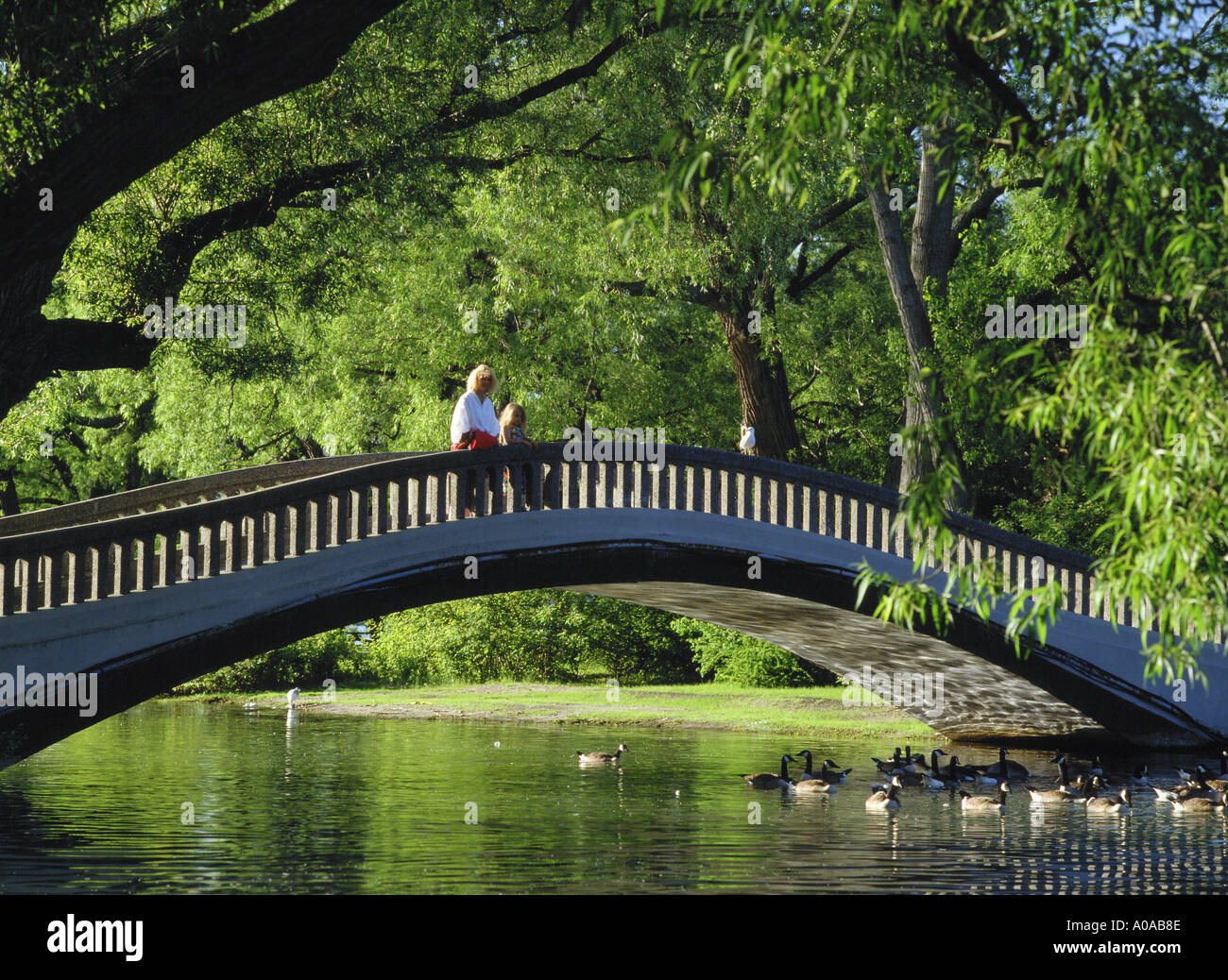 Toronto Water Quality High Resolution Stock Photography and Images - Alamy