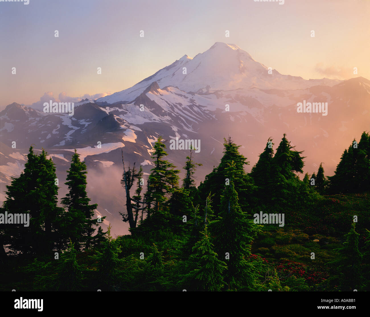 Record baker hi-res stock photography and images - Alamy