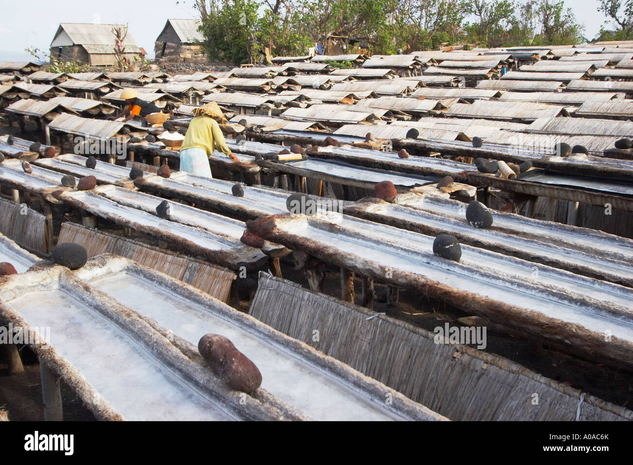 Indonesia, Salt Collection Stock Photo - Alamy