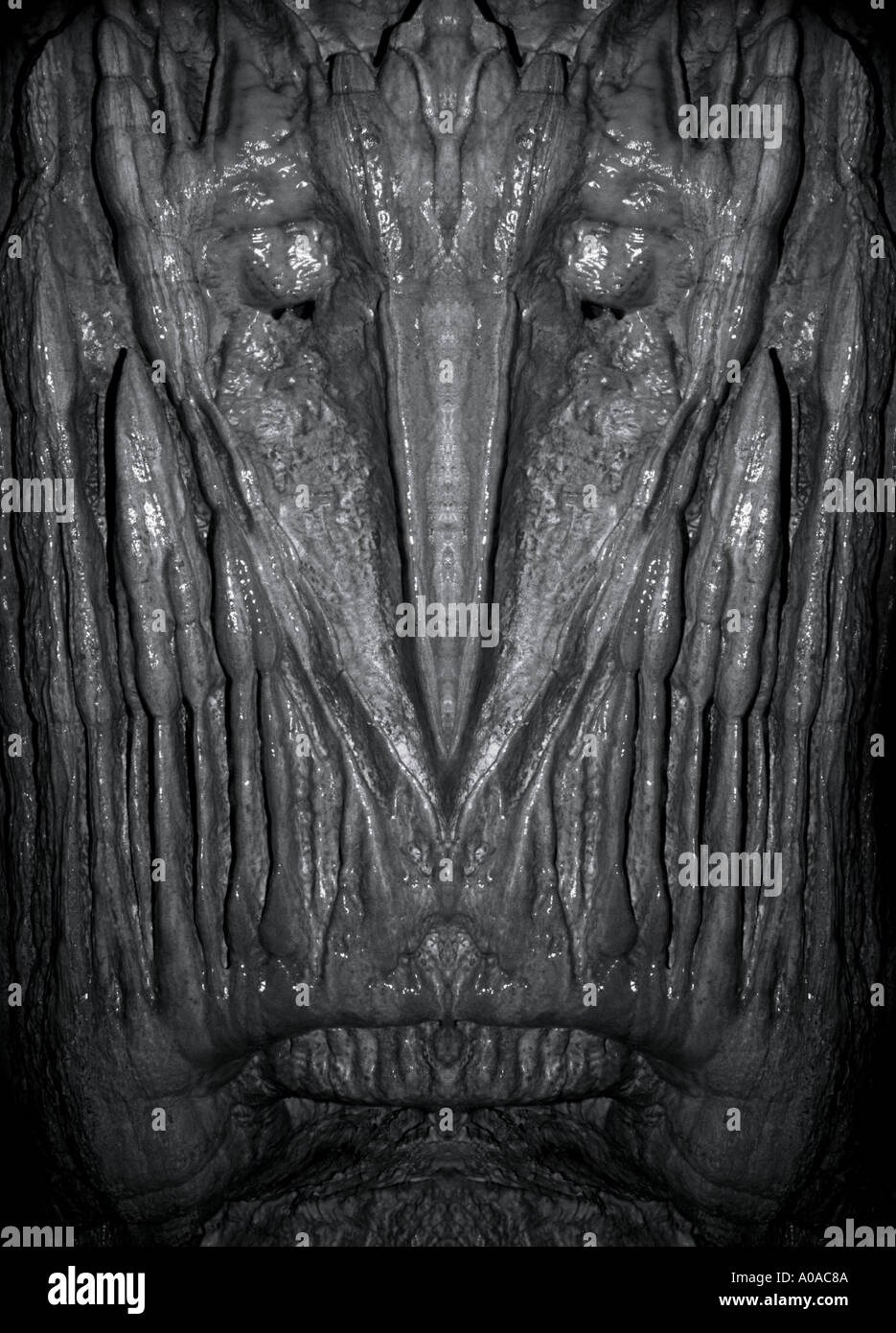 A face on a cave wall Stock Photo - Alamy