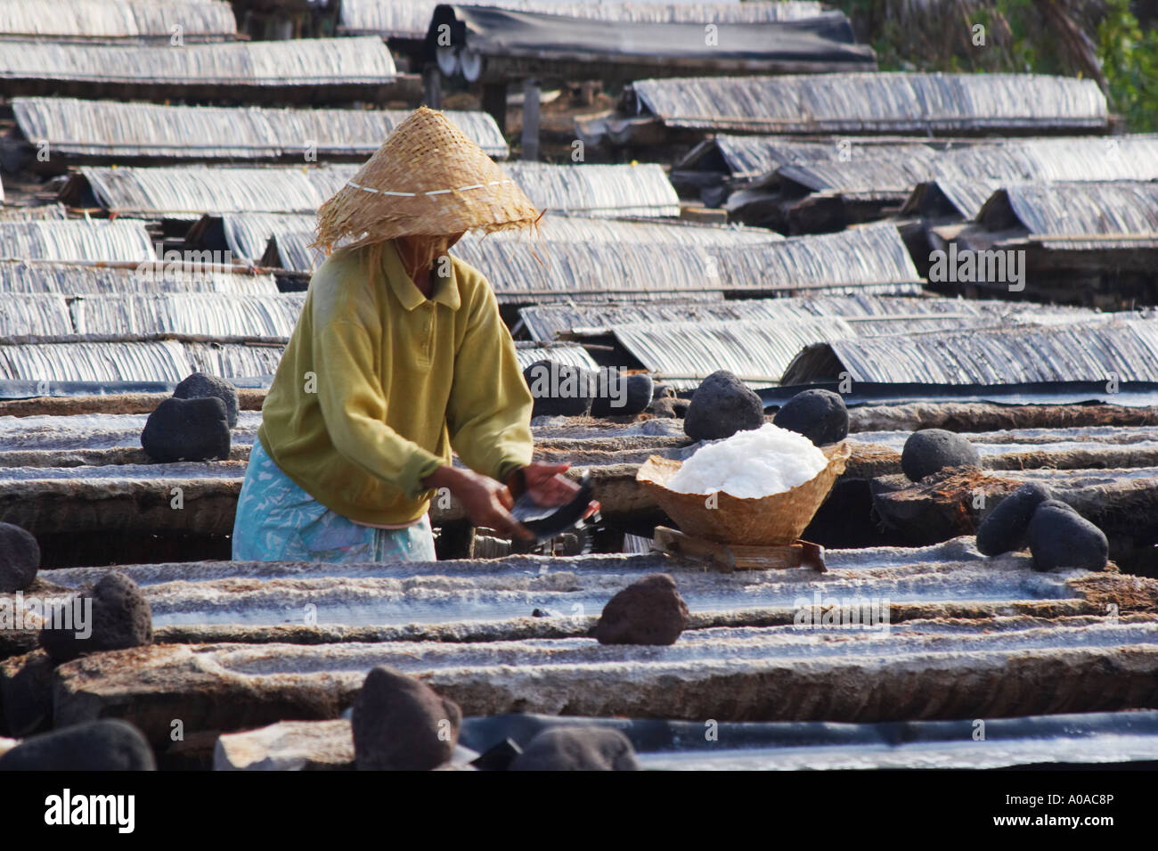 Woman Collecting Salt From Trough Stock Photo - Alamy