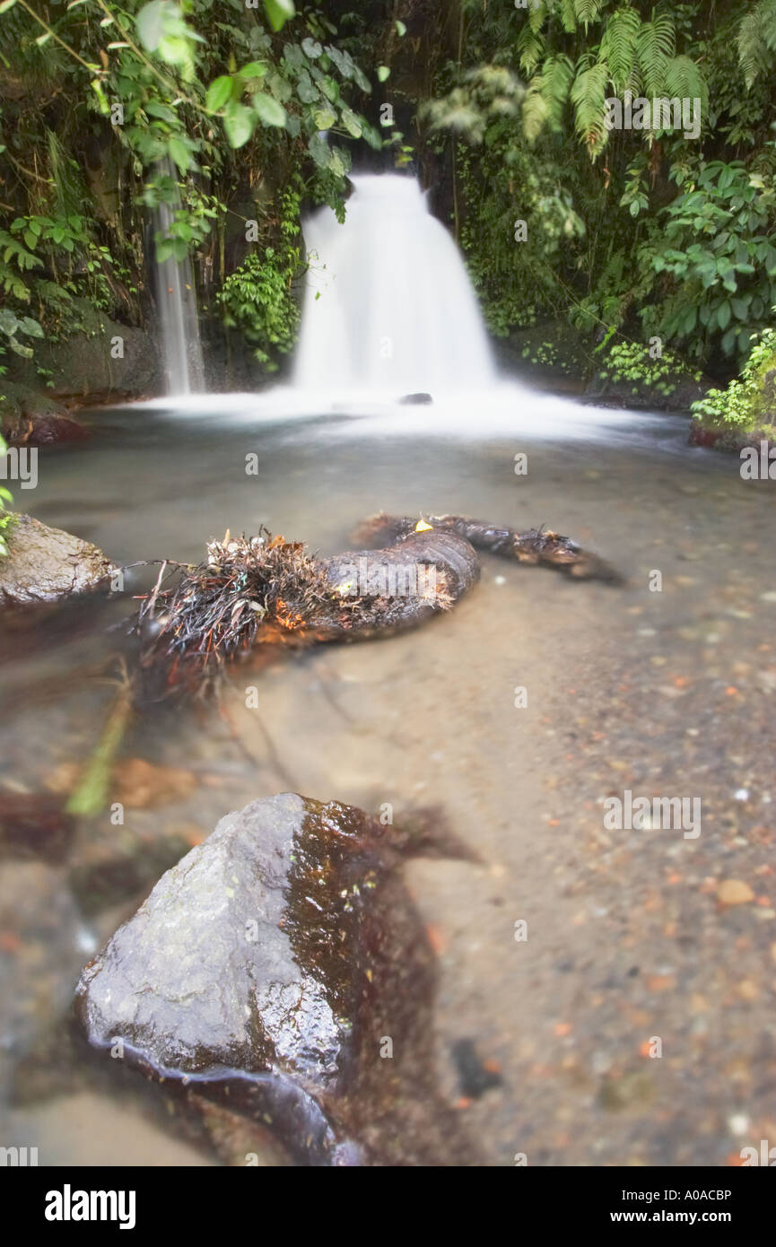 Silky waterfall in rainforest hi-res stock photography and images - Alamy