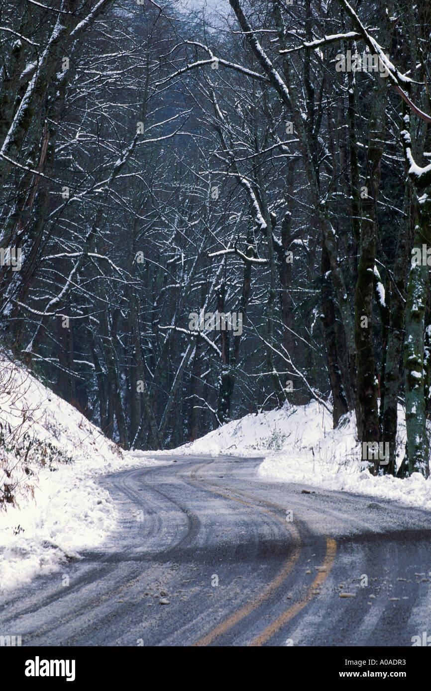Winter Historic Columbia River Highway Crown Point Highway Columbia ...
