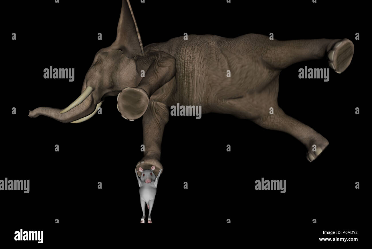 Balancing act hi-res stock photography and images - Alamy