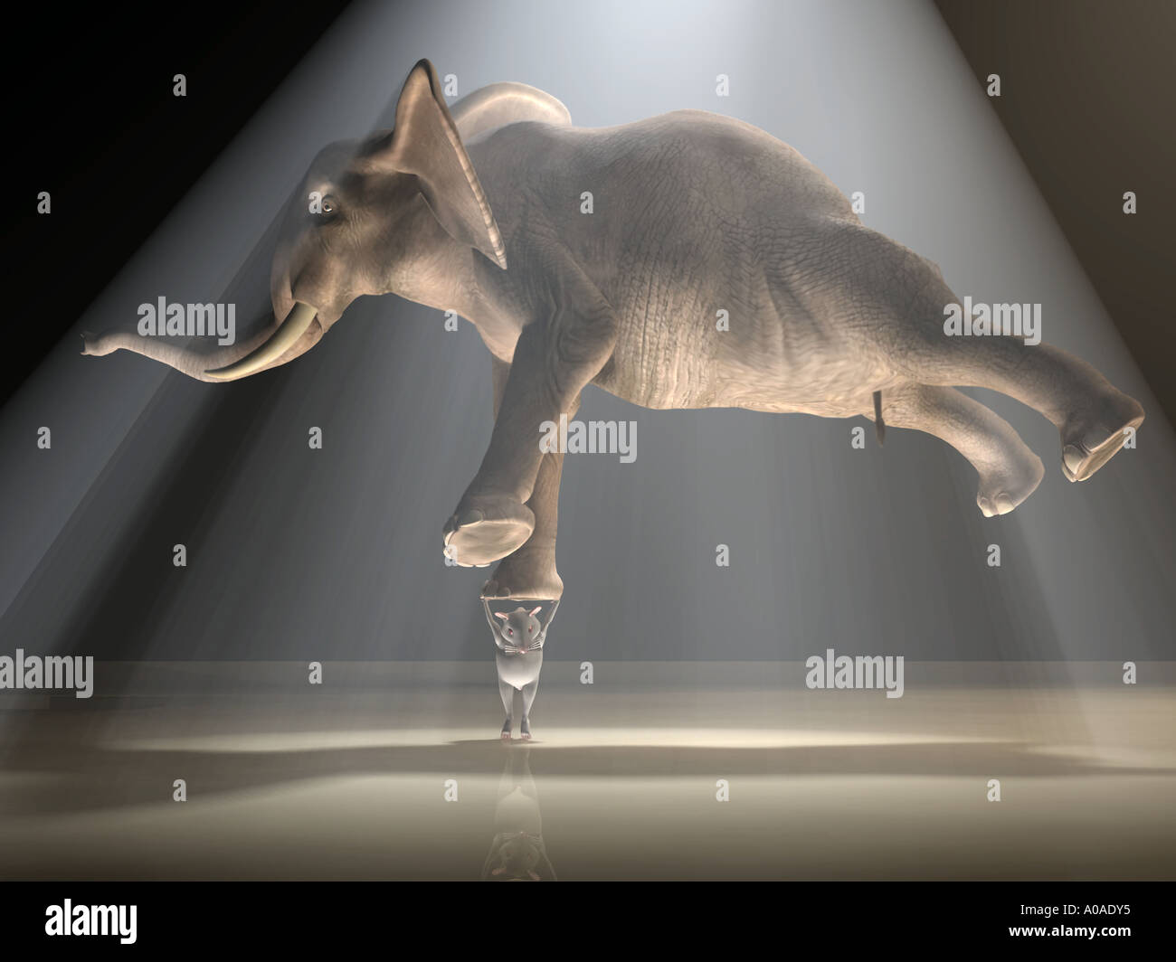 Elephant of success hi-res stock photography and images - Alamy