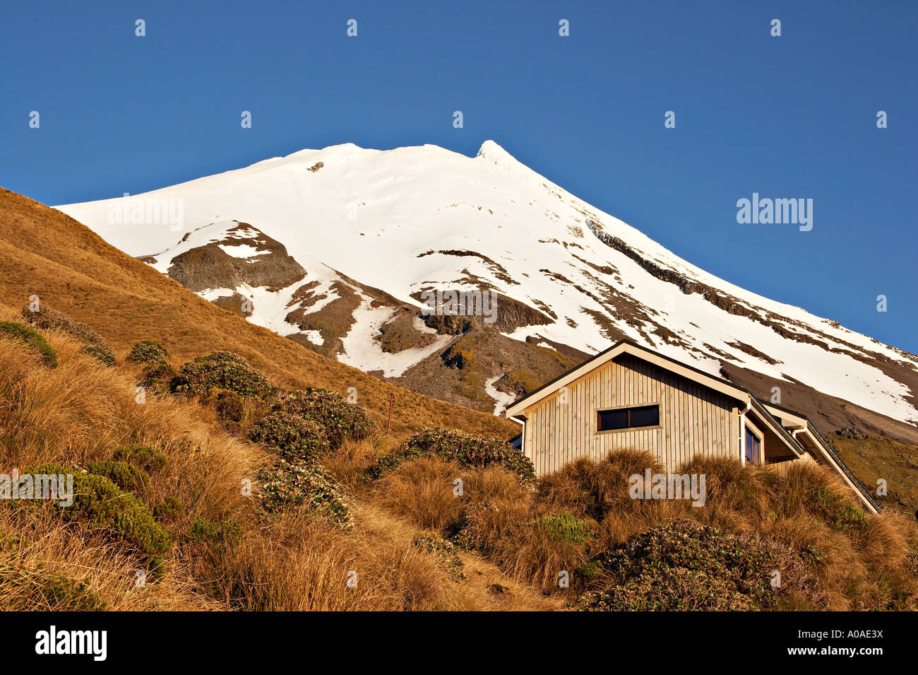 Kapuni new zealand hi-res stock photography and images - Alamy