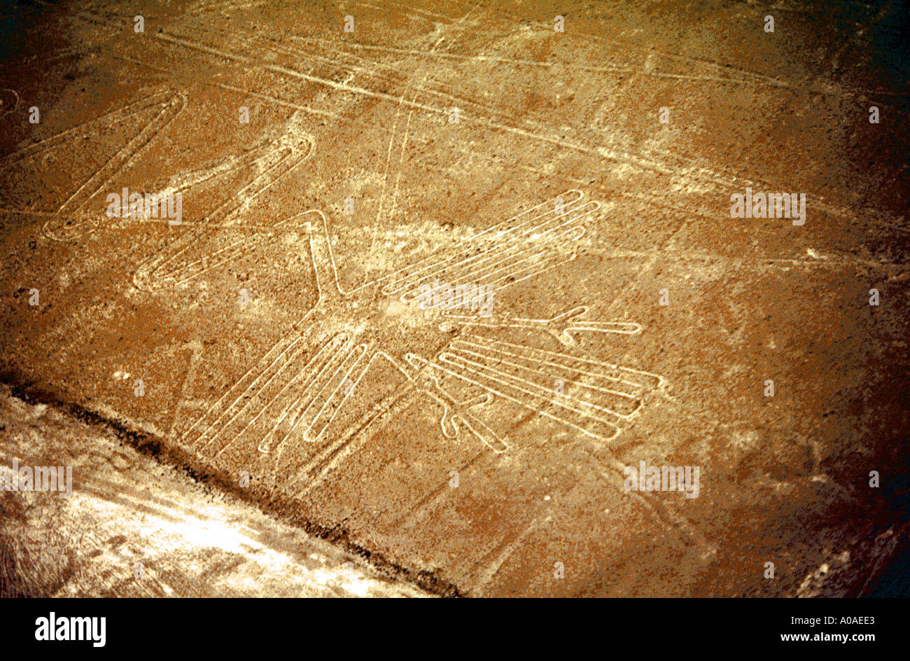 Nasca Lines, Snake Headed Bird, Peru Stock Photo - Alamy