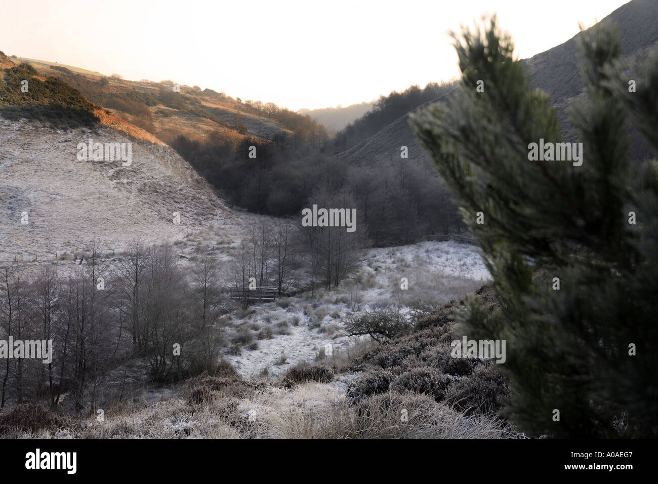 Looking down the eastern spur of the Cheesden Valley towards the ...