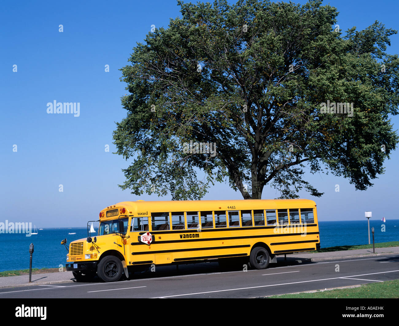 Chicago school bus hi-res stock photography and images - Alamy