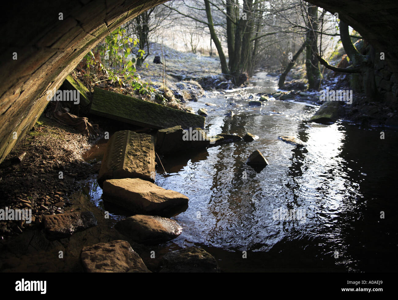 Archaeology Carved copings underneath the Pack horse bridge near ...