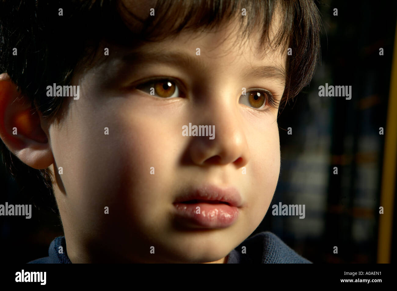 A dramatic portrait of a preschooler of mixed ethnicity of Japanese and ...