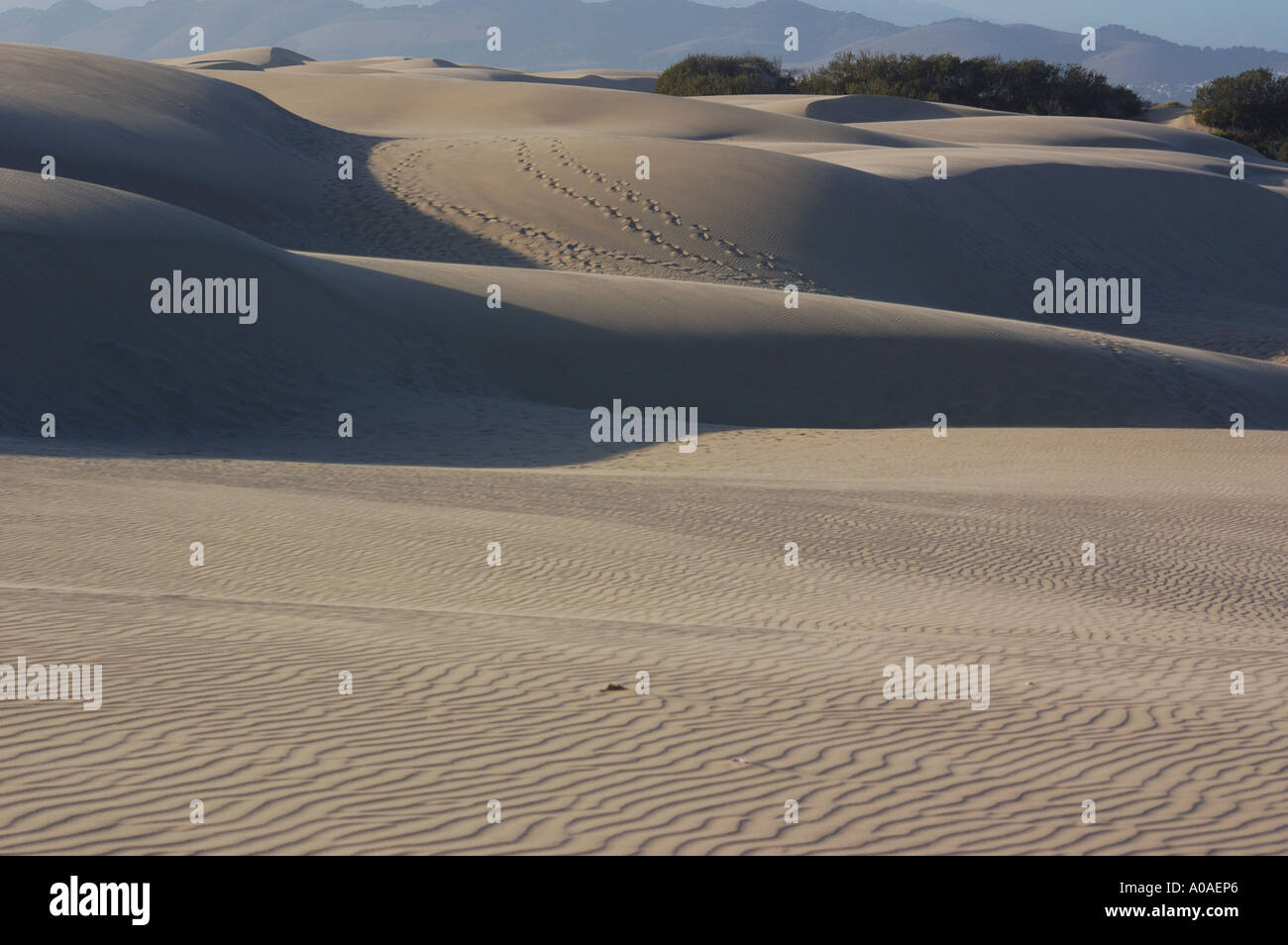 Oceano Sand Dunes Stock Photo - Alamy