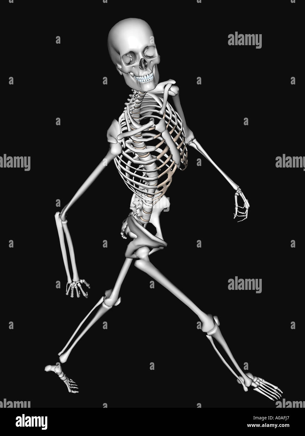Illustrative diagram showing skeleton walking happily top shot Stock ...
