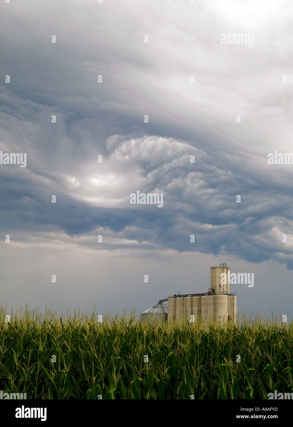 Unusual Stratocumulus storm cloud over corn field grain elevator ...
