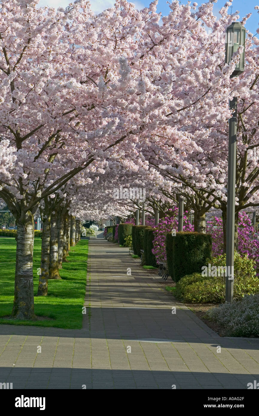 In the capitol grounds hi-res stock photography and images - Alamy