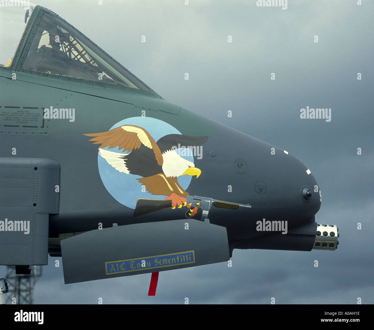 Fairchild Republic A10 Thunderbolt Fixed-wing close air support ...