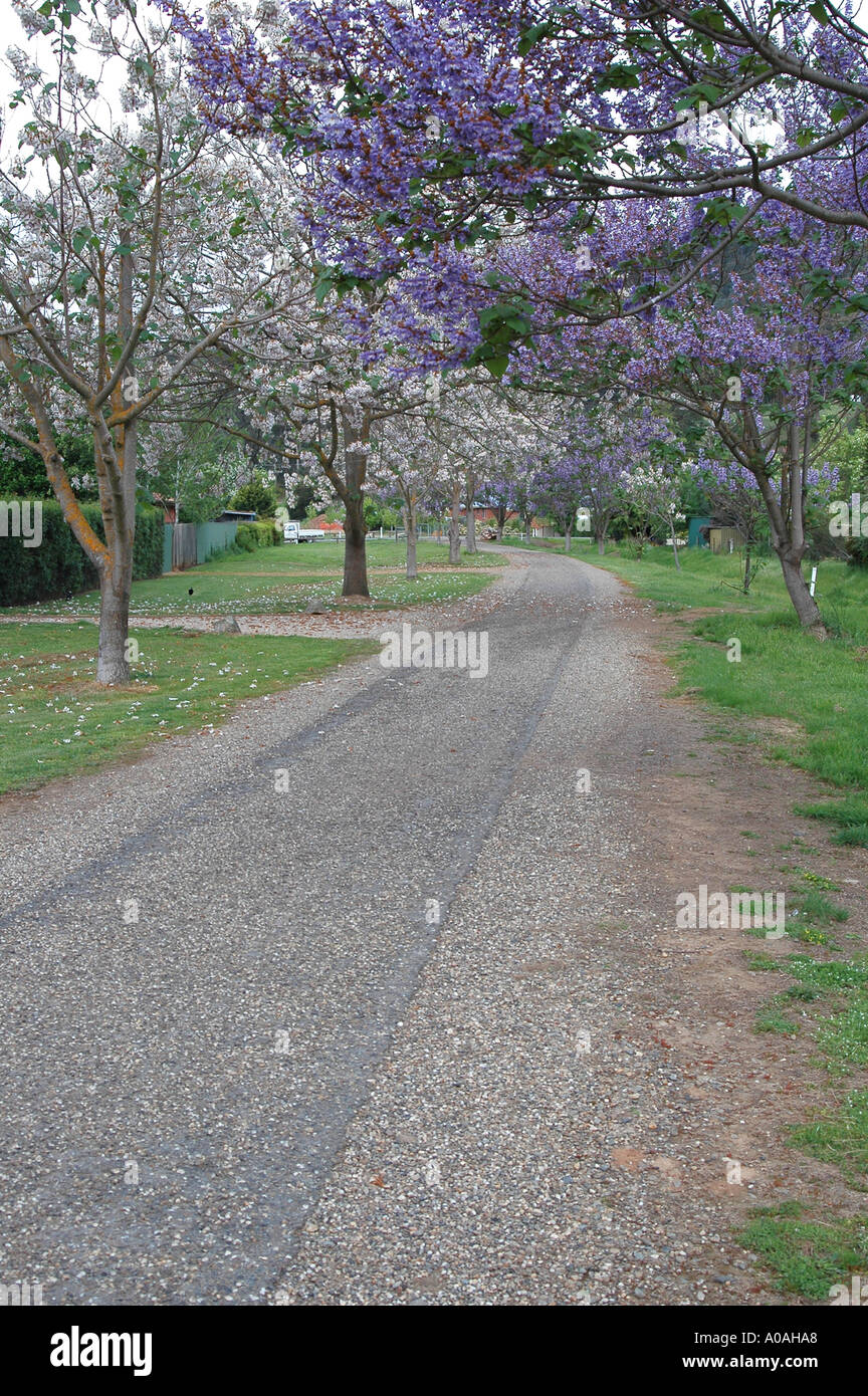 Bike track hi-res stock photography and images - Alamy