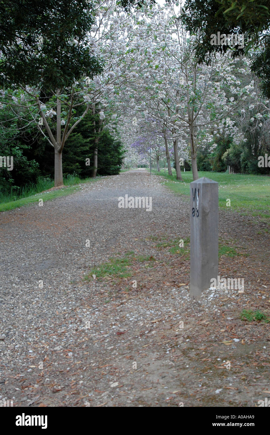 Bike track with flowers hi-res stock photography and images - Alamy
