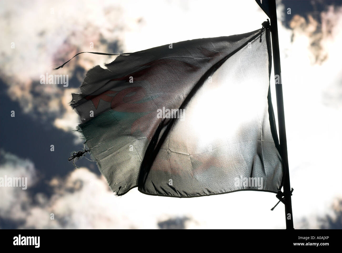 Welsh flag flying Stock Photo - Alamy