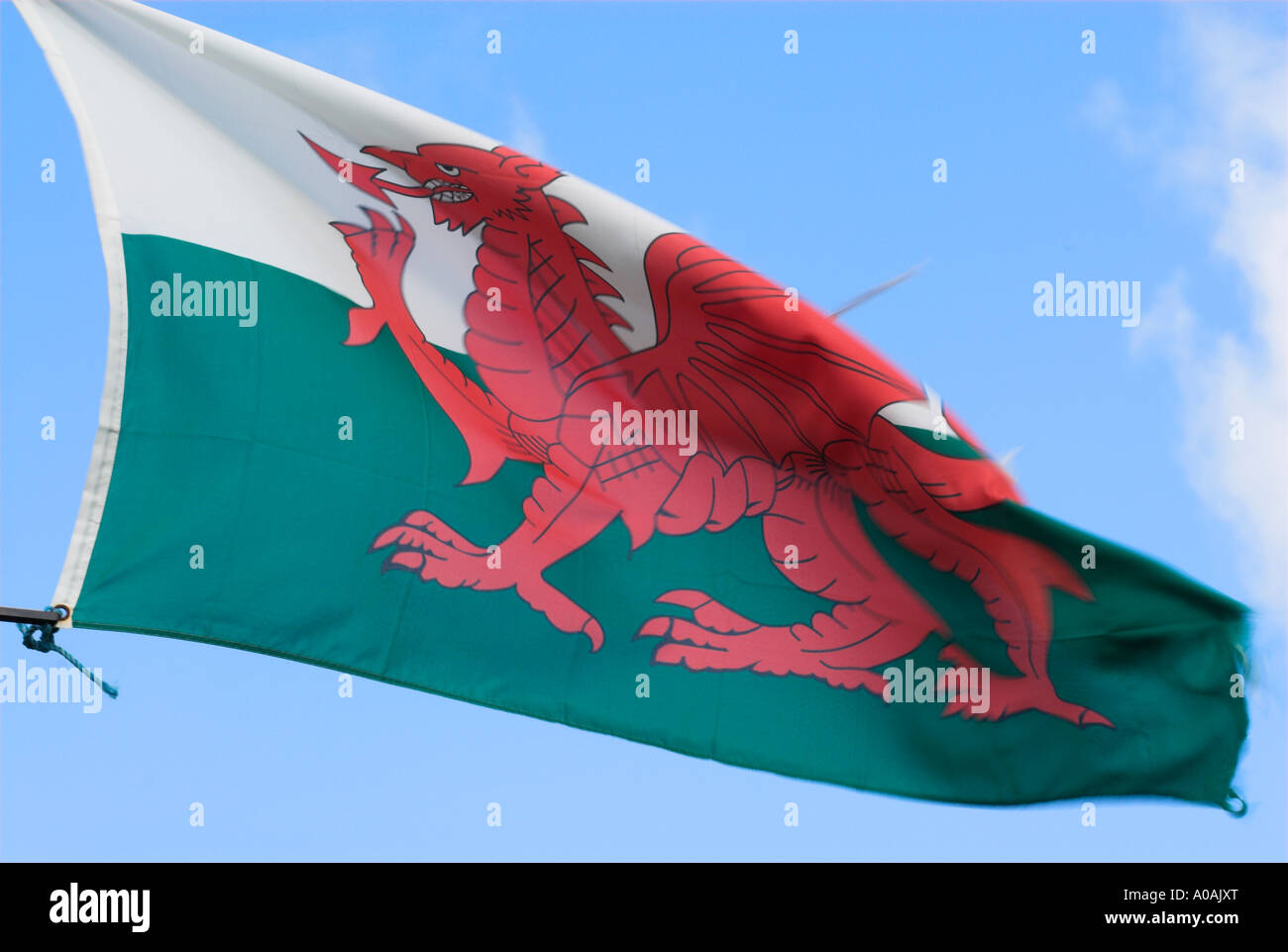 Welsh flag flying Stock Photo - Alamy