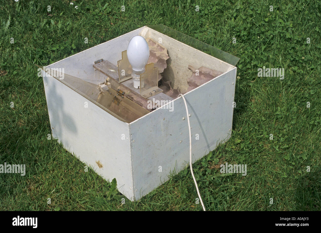 Moths light trap High Resolution Stock Photography and Images - Alamy