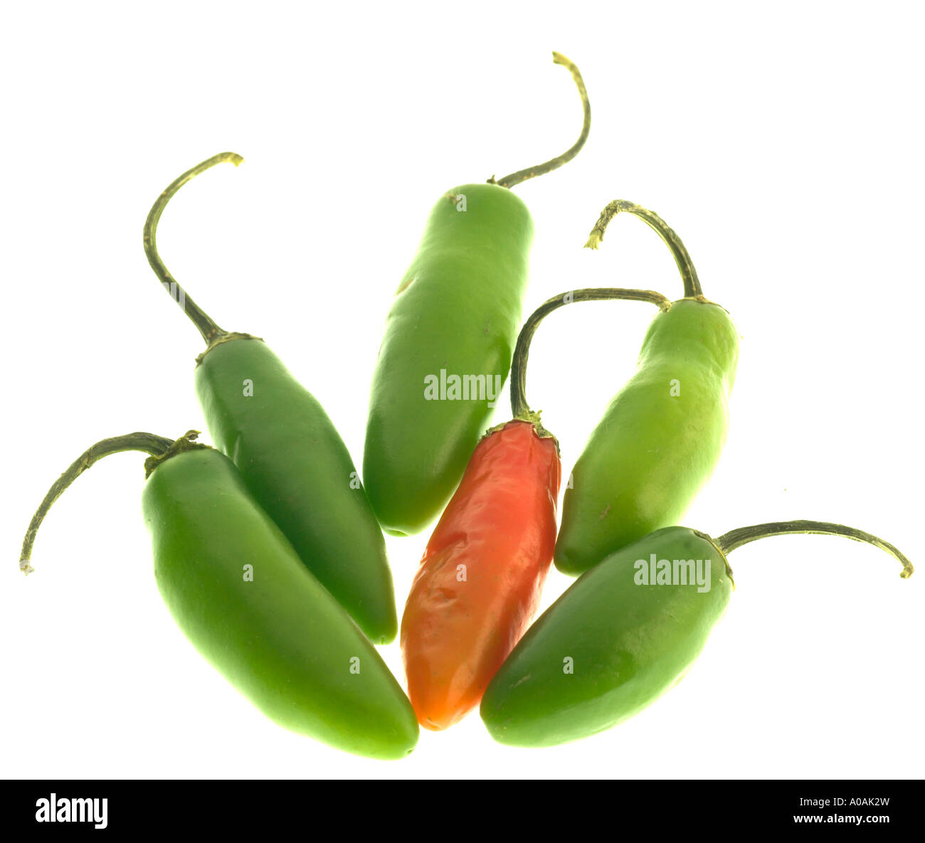 Advertising chillies hi-res stock photography and images - Alamy