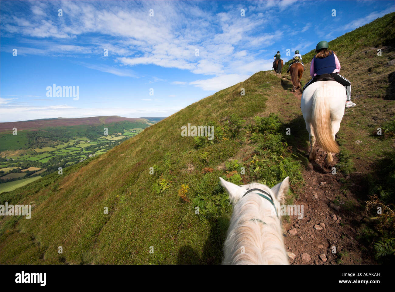 Llantony pony treks pony trekking Brecon Beacons National Park Stock ...