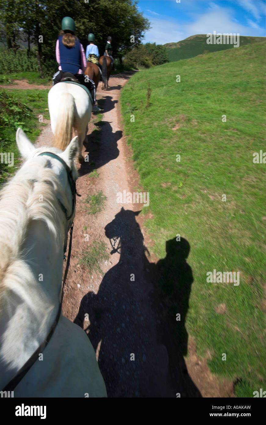 Llantony pony treks pony trekking Brecon Beacons National Park Stock ...