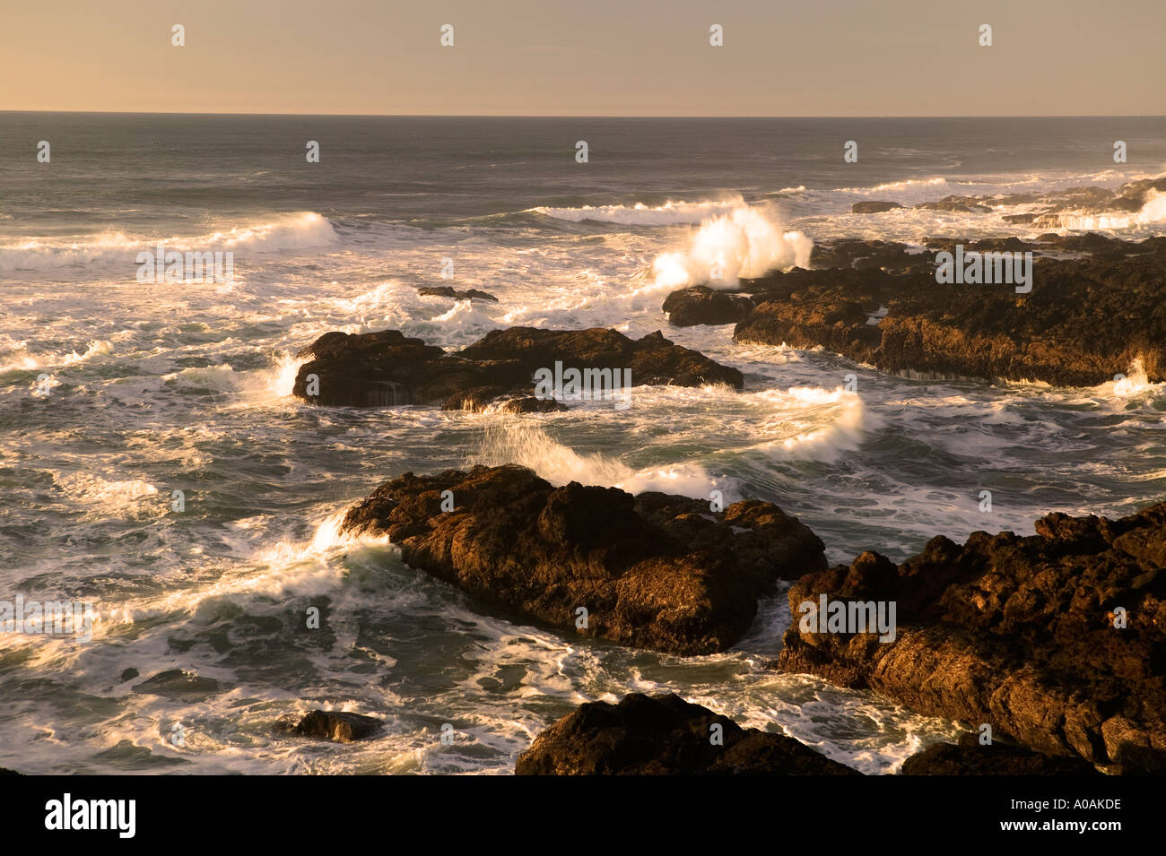 Storm waves off the Oregon coast Near Yachats Stock Photo - Alamy
