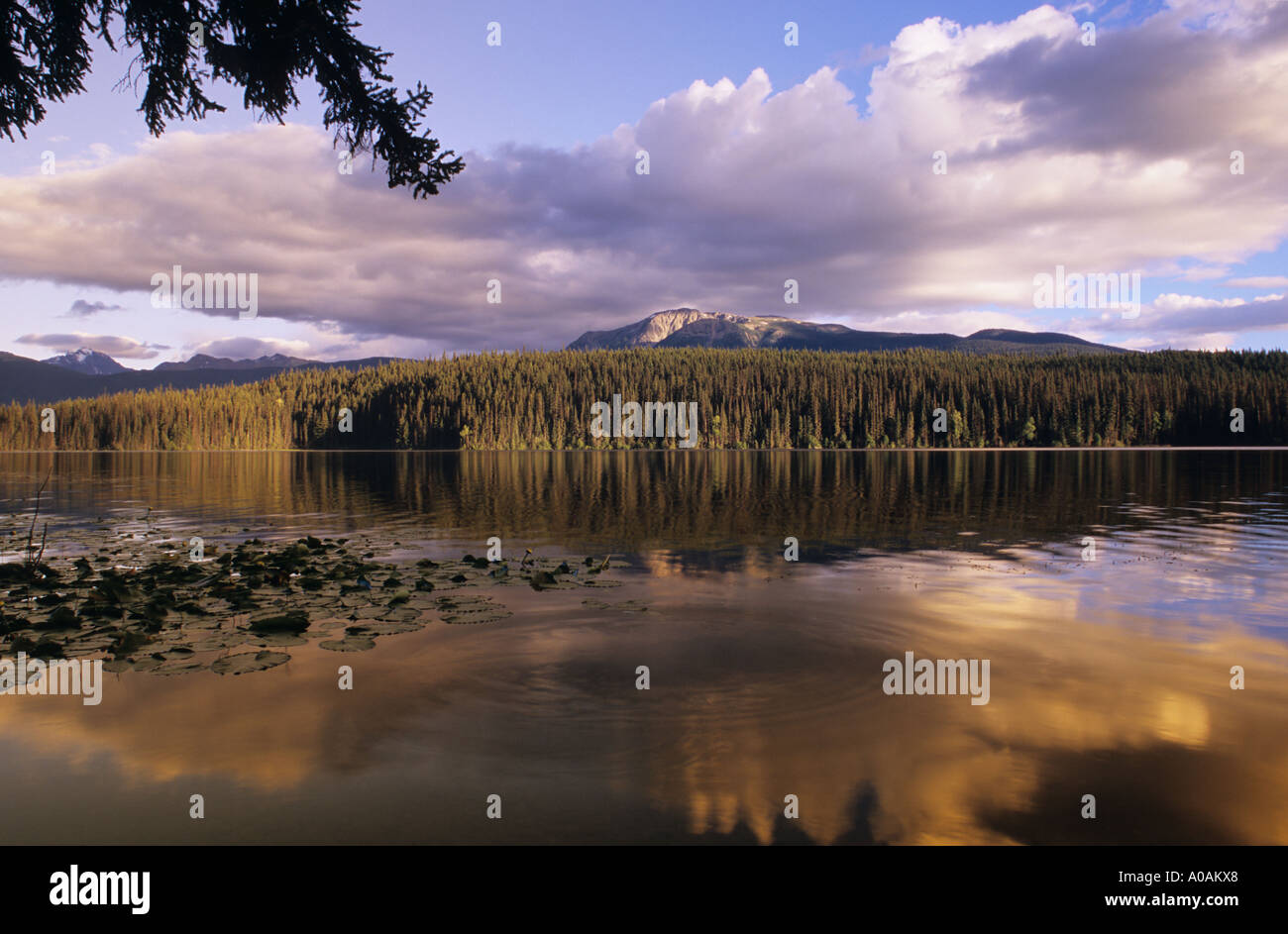 Kitsequecla Lake British Columbia Stock Photo - Alamy