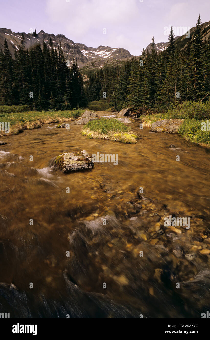 Babine mountains provincial park hi-res stock photography and images ...
