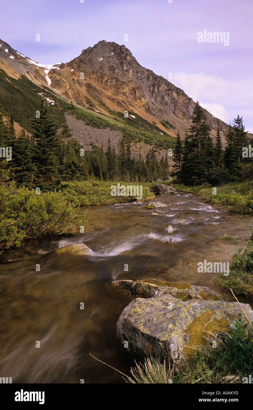 Alpine stream in Danny Moore Basin Babine Mountains Provincial Park ...