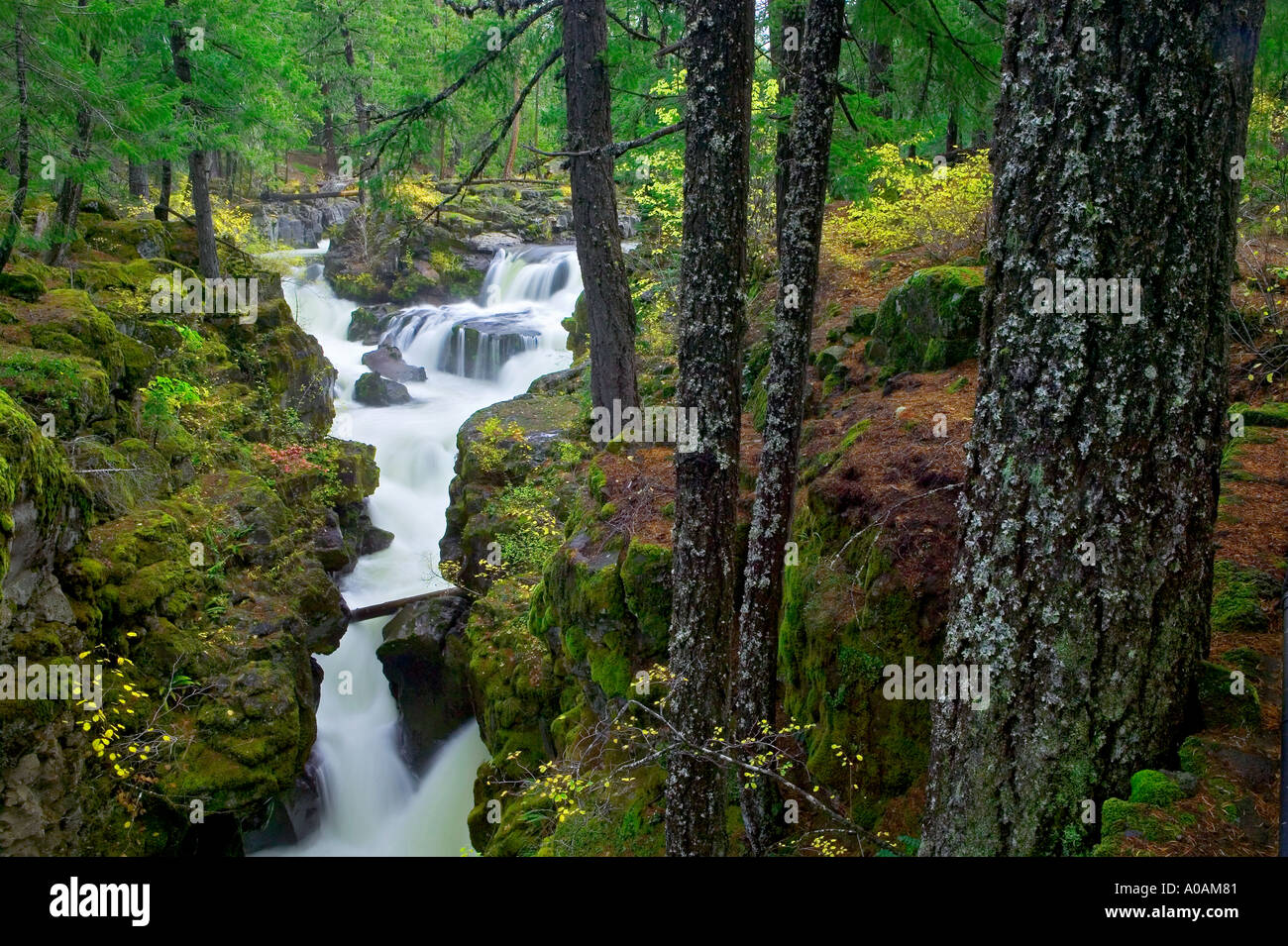 Rogue River Gorge with fall color Rogue River Wild and Scenic River ...