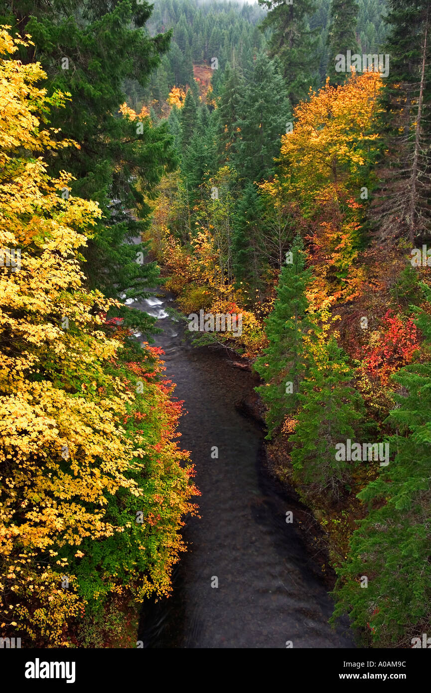 Rogue river oregon fall hi-res stock photography and images - Alamy