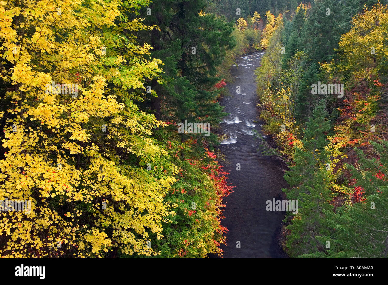 Flow of rivers hi-res stock photography and images - Alamy