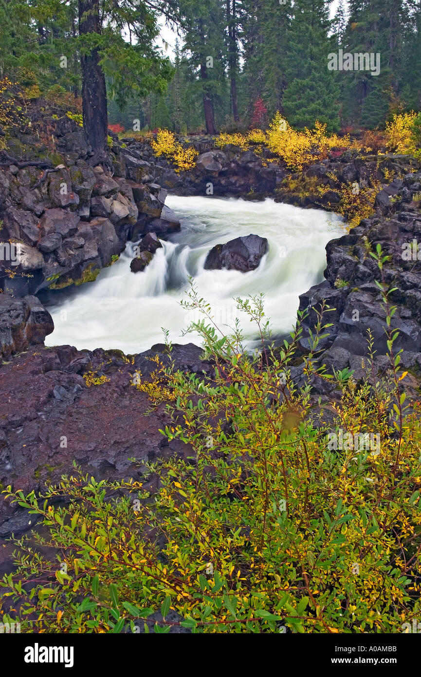 Natural Bridge where the Rogue River goes underground Rogue River Wild ...