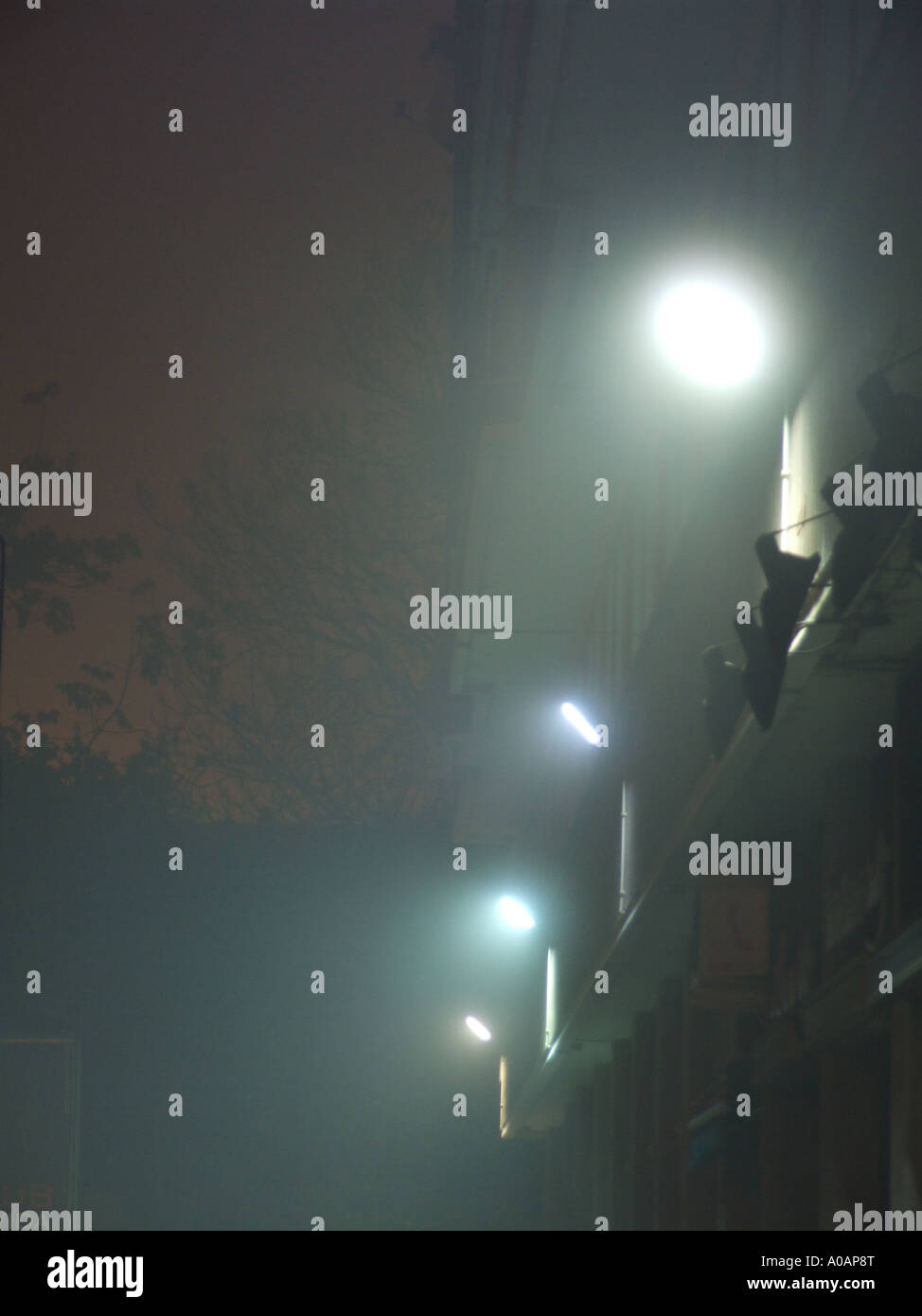 Row street lights fog hi-res stock photography and images - Alamy