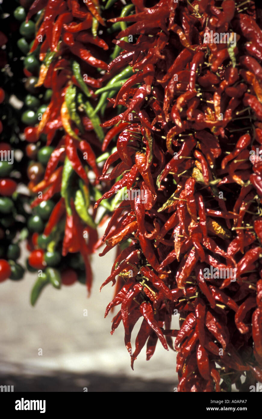 Chili pepper Diamante Calabria Italy Stock Photo - Alamy